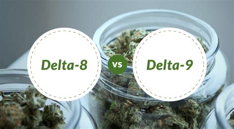 Difference Between Delta 8 And Delta 9 Vitality Cbd Inc