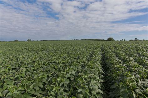 Soil Carbon Sequestration Whats In It For You The Farmer United
