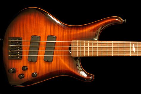 Roscoe Lg 3000 Archive High End Bass Guitars Amps And Bass