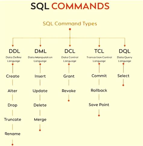 Sqlqueries Coding Programming Dataanalytics Sql Database Md