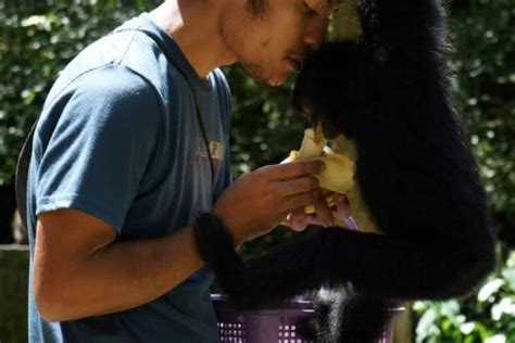 Abdul Rahman Manik Owa Siamang Seperti Keluarga Saya Siej