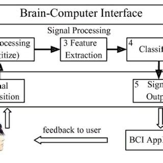 PDF THE BRAIN COMPUTER INTERFACE