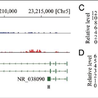 Changed Expression Of The Ai Long Noncoding Rna Lncrna A