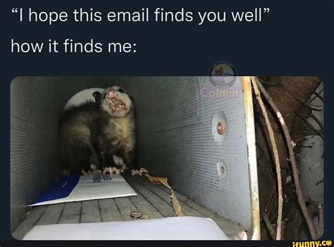 I Hope This Email Finds You Well How It Finds Me Ifunny