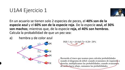 En Un Acuario Se Tienen Solo 2 Especies De Peces