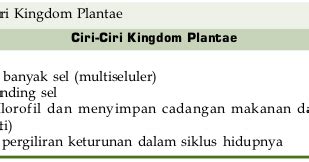 Kingdom Plantae Pengertian Klasifikasi Contoh Pengertian