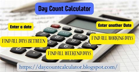 Best 1 Day Count Calculator