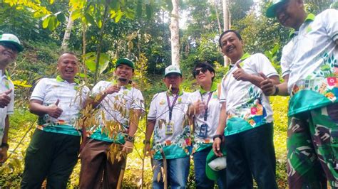 DLHK Tanam 500 Bibit Pohon Di Hari Lingkungan Sedunia Pasundan Ekspres