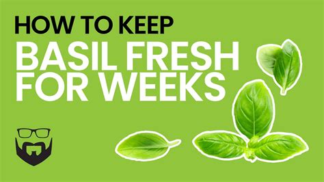 How To Keep Basil Fresh For Weeks