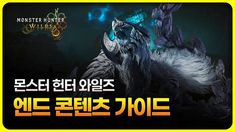 몬스터 헌터 와일즈 그래서 이제 뭐함 엔드 컨텐츠 요약 정리본 Youtube