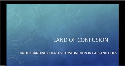 Land Of Confusion Cognitive Dysfunction In Cats And Dogs