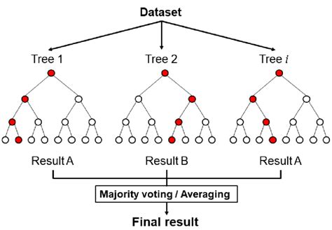 Random Forest Image Classification Using Pythonrandom