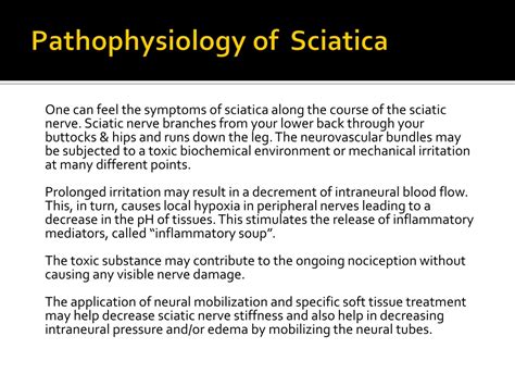 Ppt Sciatica Powerpoint Presentation Free Download Id11048595