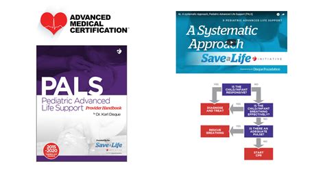 A Systematic Approach Pals Online Handbook