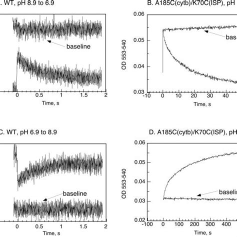 Prosthetic Groups And Subunit Structures Of The Cyt Bc 1 Complex A