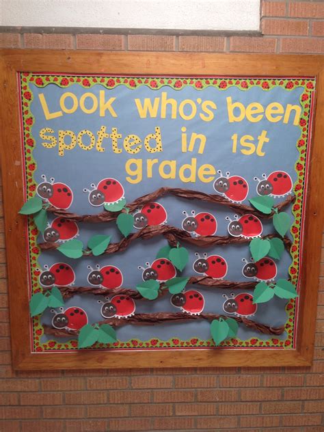 Ladybug Bulletin Board Dollar Tree Border And Ladybugs Ladybugs