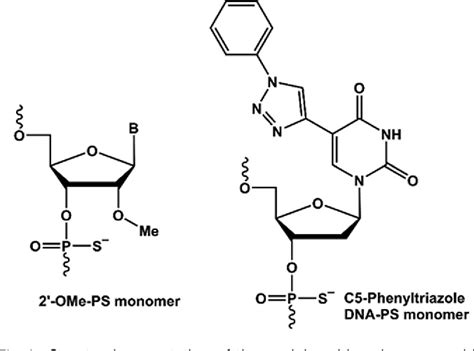 Figure 1 From Nucleobase Modified Antisense Oligonucleotides Containing