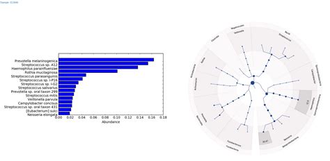 Taxonomic Profiling Of Metagenomics Samples With Seven Bridges