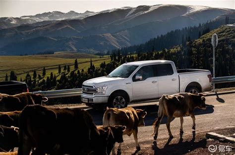 福特f150ltd美国售价福特f150ltd福特f150天津港售价第9页大山谷图库