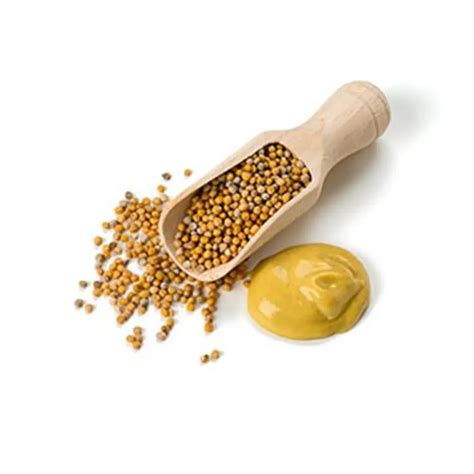 Mustard Residue Detection Kit Elisa Systems