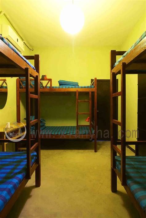 青年旅馆图片旅店大山谷图库