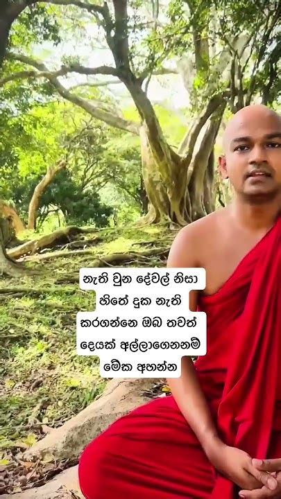 Viralvibes D2g Youtube