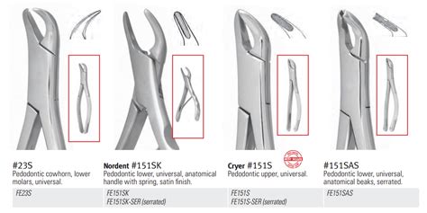 List The Instruments Used For A Forceps Extraction At Carmela Schatz Blog