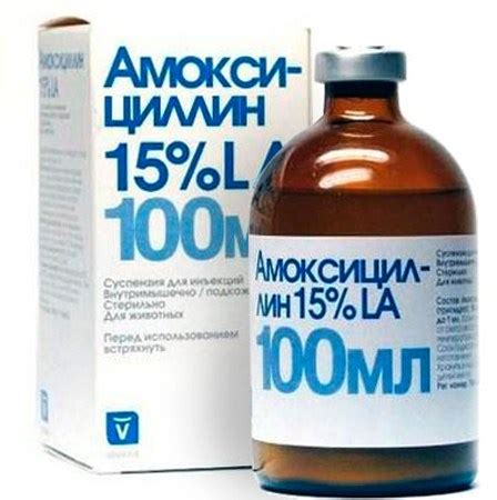 Амоксициллин 15% купить недорого в Нижнем Новгороде. Интернет магазин ...