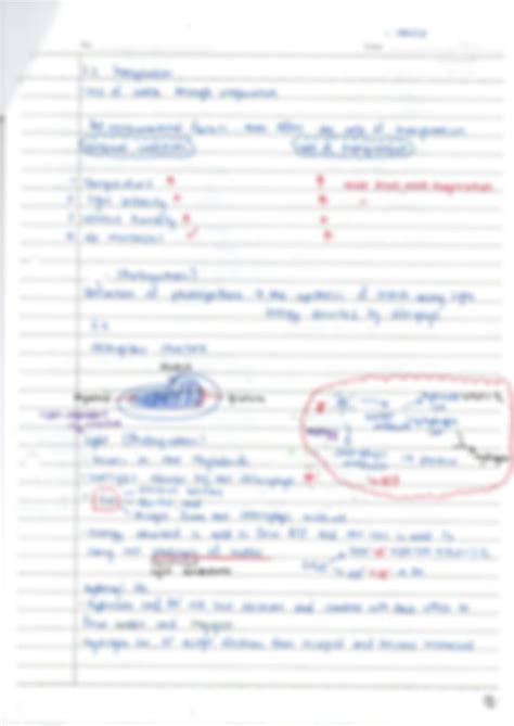 Solution Leaf Structure And Function Studypool