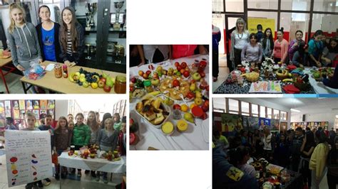 Почетна Основна школа Наталија Нана Недељковић
