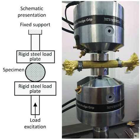Radial Application At David Montelongo Blog