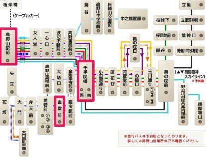 高野山 壇上伽藍の歴史と見どころ 天空の真言密教の聖地