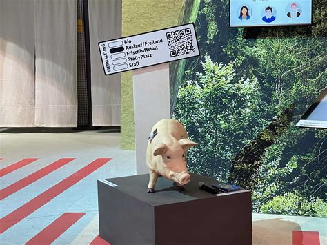 Tierhaltungskennzeichnung Lidl und Kaufland unterstützen Özdemir