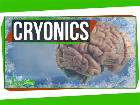 The Science Of Cryonics And Whether It Could Really Bring People Back To Life
