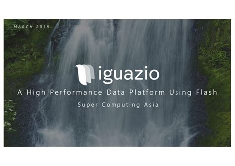 Building A High Performance Analytics Platform Ppt