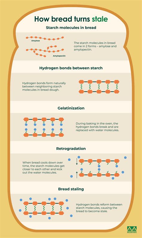 5 Ingredients That Extend The Shelf Life Of Bread Musim Mas