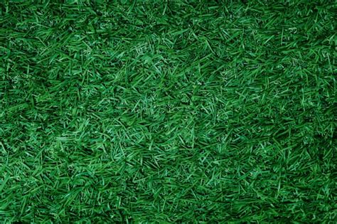 Premium Photo Green Grass Texture Background Grass Garden Concept