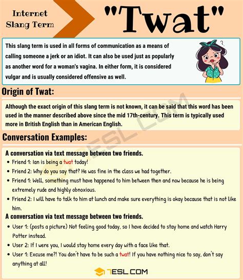 What Does The Slang Term Twat Mean • 7esl