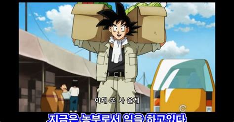 드래곤볼 전사들의 직업 