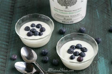 Low Carb Yogurt On Keto What Kind Is Best All Natural Ideas