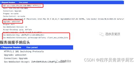 WebSocket实战之二协议分析