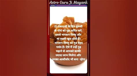 तुलसी के पौधे पर चढ़ाएं गुड़ सात पुश्तों तक नहीं आएगी गरीबी 🙏🏻🙏🏻