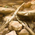 Terrarium für einen Angola Python auch bei Kabel1 zu sehen