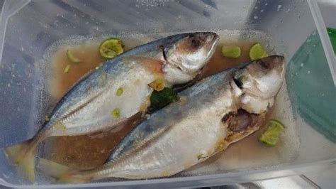 Nilai Gizi Ikan Air Tawar Dan Air Bahari Segar Serta Manfaatnya Cara