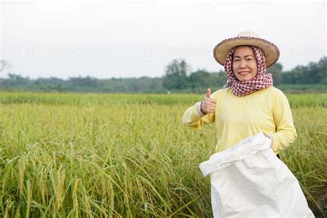Happy Asian Woman Farmer Is At Paddy Field Wears Hat Yellow Shirt