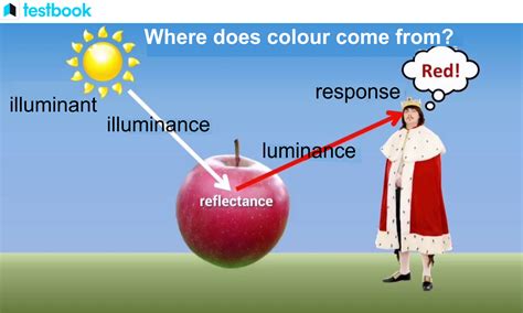 Examples Of Light Being Absorbed