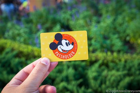 Disney World Tickets Guide 2025 Story Ziggy Knows Disney