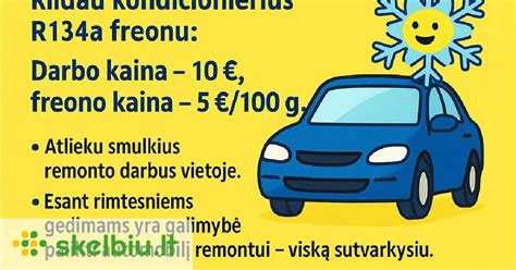Kondicionieriu Remontas Pildymas Kaunas Skelbiu Lt