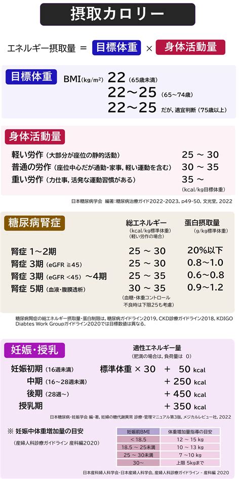 摂取カロリー計算 糖尿病メモ