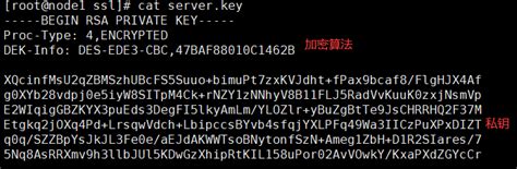 使用openssl生成rsa私钥和证书请求 Csdn博客